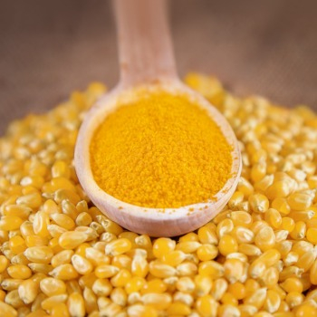 Interstarch. CORN GLUTEN MEAL